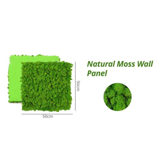 Natural Moss Wall Panel | Office Renovation Singapore | Office ...