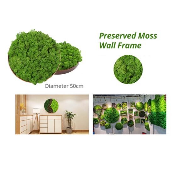 Preserved Moss Wall Frame | Office Renovation Singapore | Office ...
